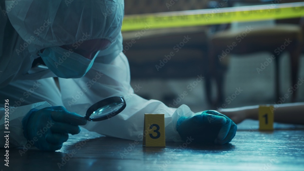 Detective Collecting Evidence in a Crime Scene. Forensic Specialists ...