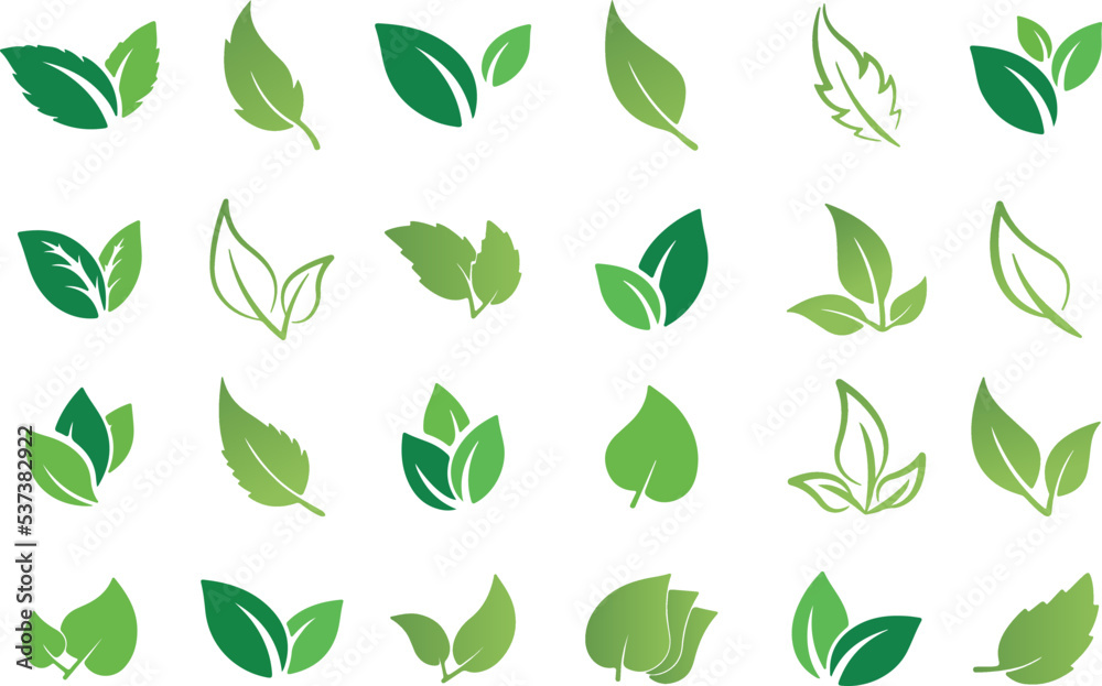 Green leaf vector set with bio and eco,abstract, bio, branch, eco ...