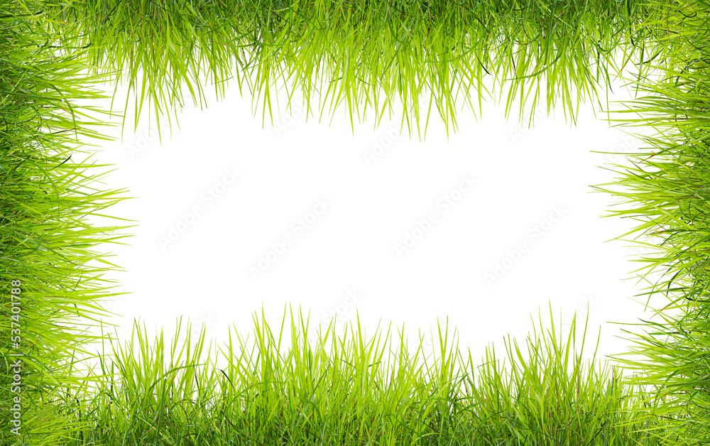 Green grass frame, on a transparent background. Green field frame ...