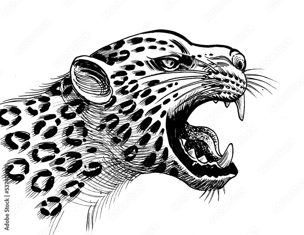 Roaring jaguar head. Ink black and white drawing Stock Illustration ...