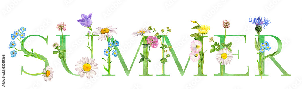 watercolor drawing lettering summer with flowers, hand drawn ...