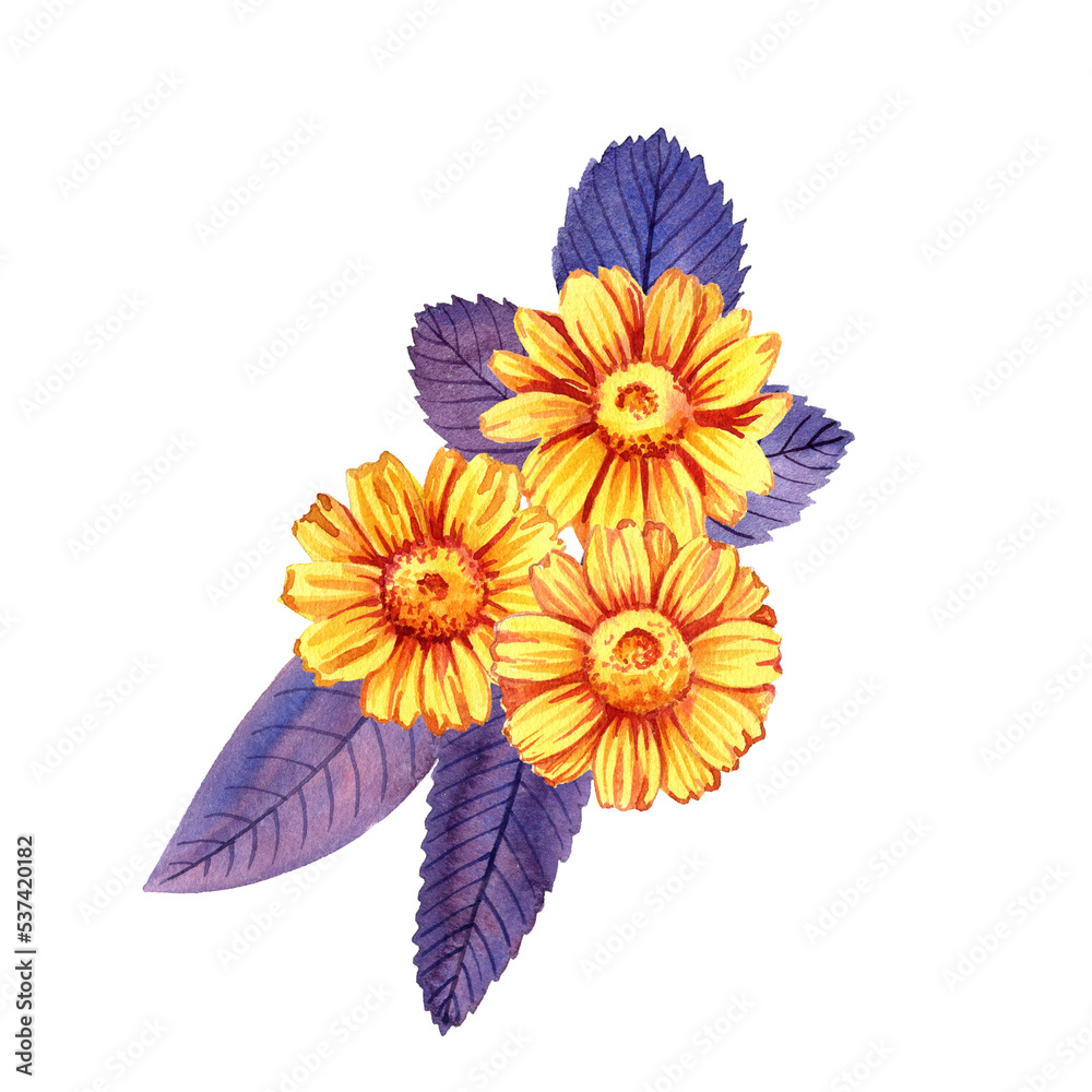 watercolor drawing yellow flowers with blue leaves isolated at white ...