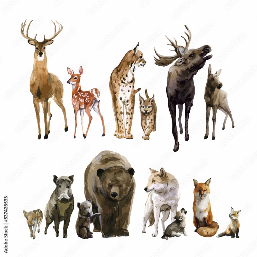 Beautiful vector set with watercolor hand drawn forest wild deer elk ...