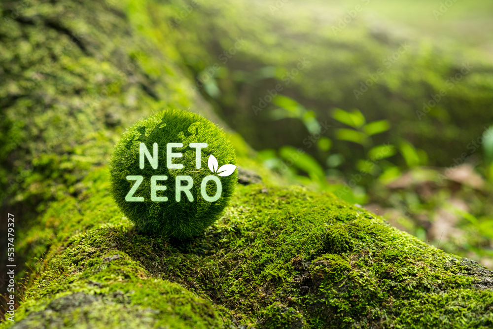 Net Zero Emission Carbon Neutrality Concept Close Up Earth On Nature
