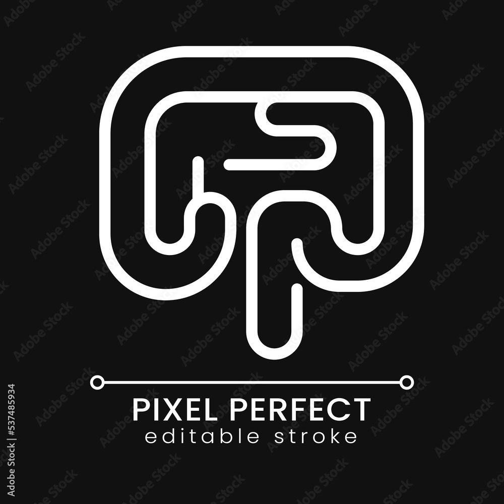 Human bowel pixel perfect white linear icon for dark theme ...