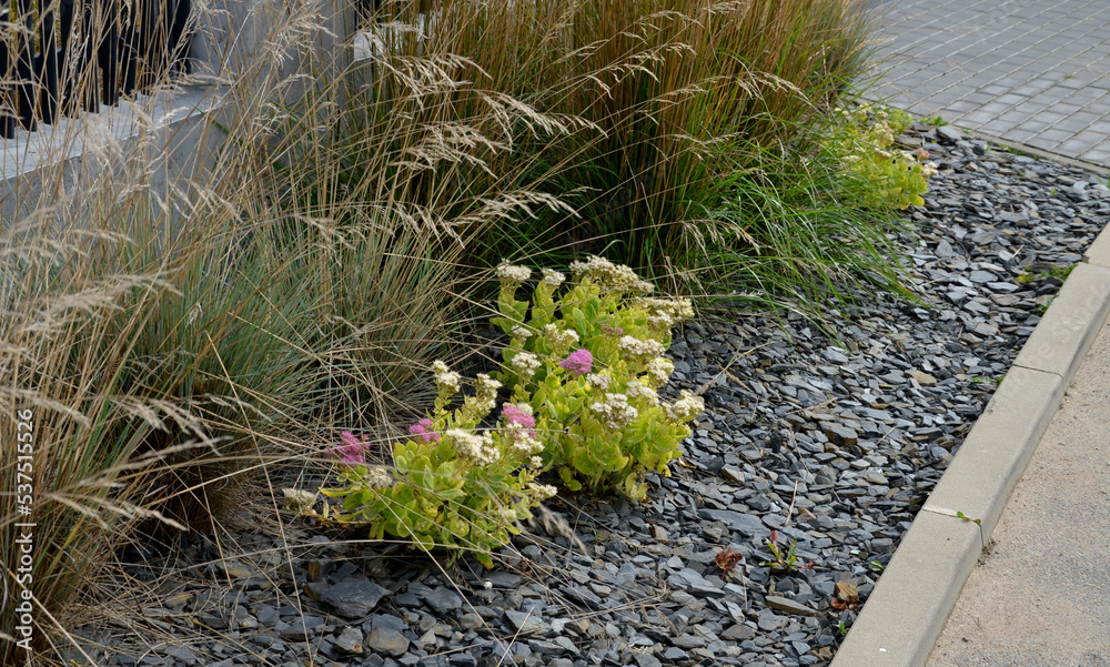 streets with gray fences of fodin gardens. flower beds line the plot ...