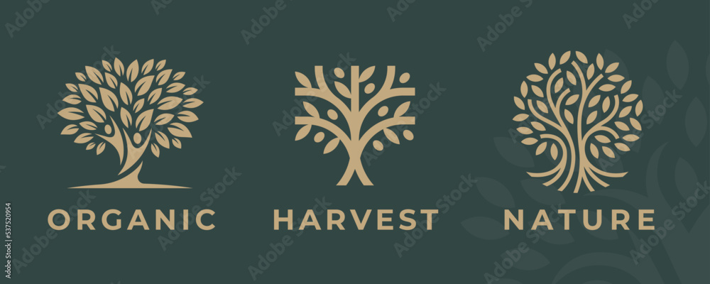 Abstract Tree of life logo icons set. Organic nature symbols. Tree branch with leaves signs ...