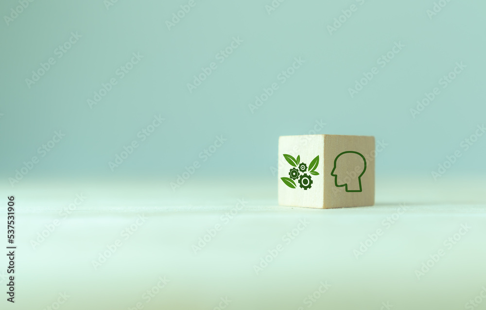 Green organizational culture, corporate social responsibility concept ...