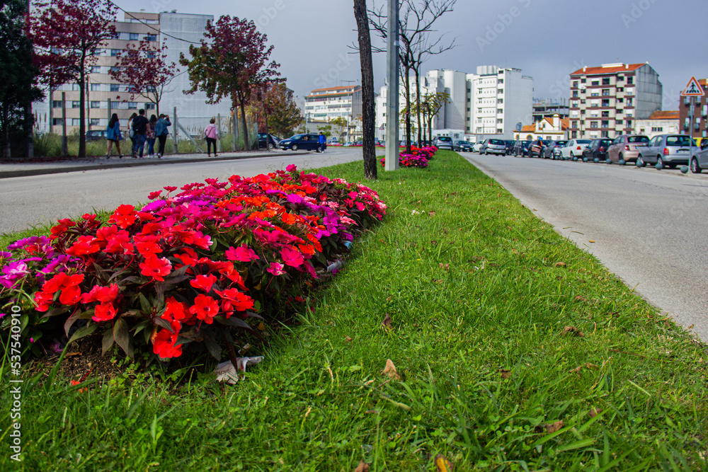 Cidade de Aveiro, vista parcial da região centro, Av. Dr. Lourenço ...