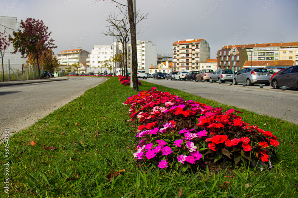 Cidade de Aveiro, vista parcial da região centro, Av. Dr. Lourenço ...