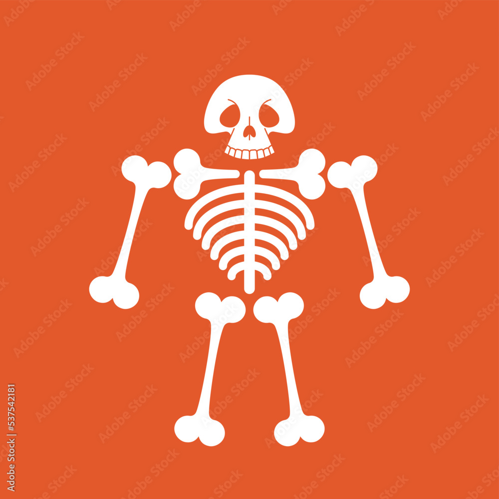Skeleton cartoon isolated. Skull funny head. Vector illustration Stock ...