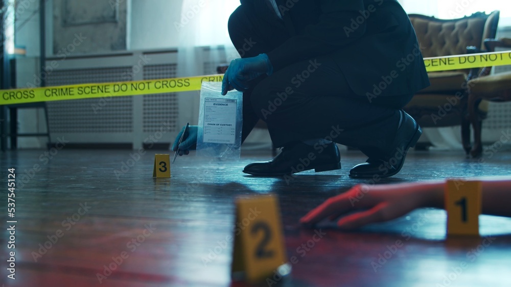 Detective Collecting Evidence in a Crime Scene. Forensic Specialists ...