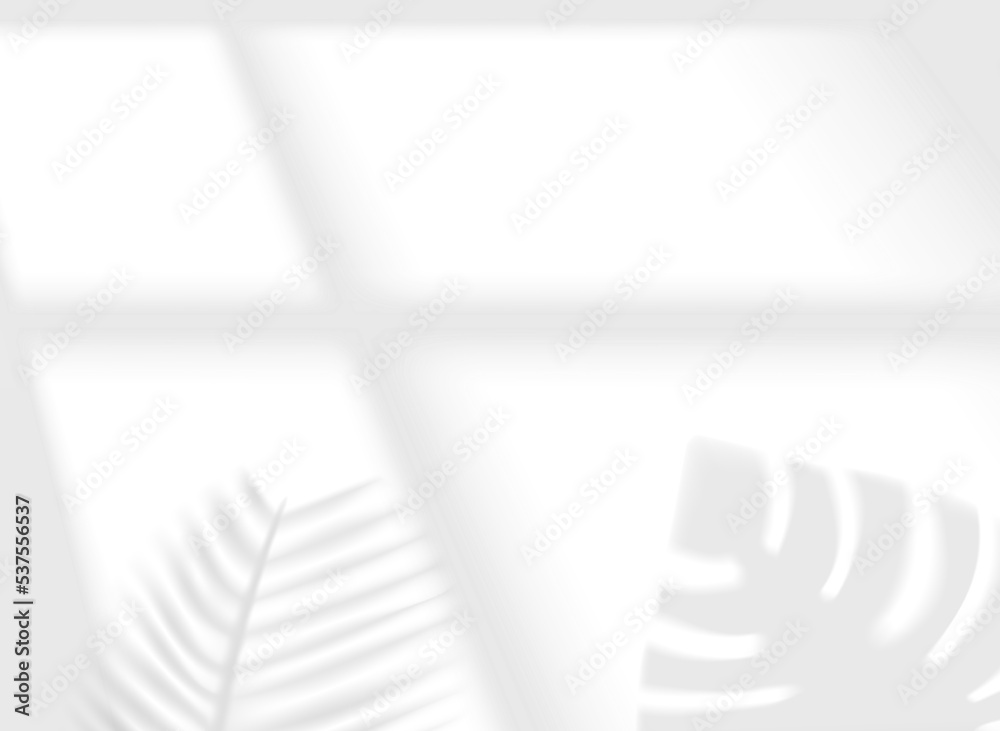 Sun light via the window. Shadow effect with blindes and plants in ...