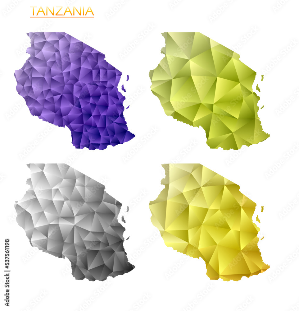 Set of vector polygonal maps of Tanzania. Bright gradient map of ...
