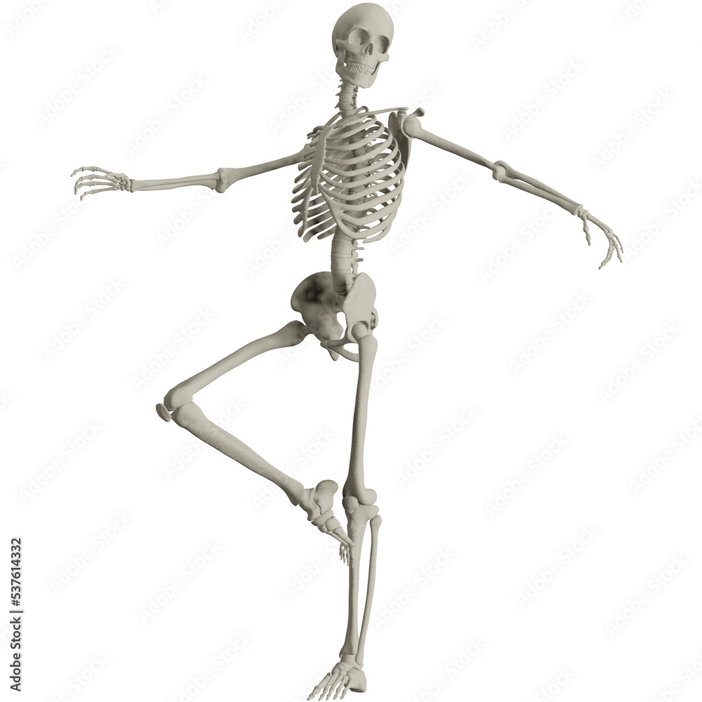 skeleton posing 3d render illustration Stock Illustration | Adobe Stock