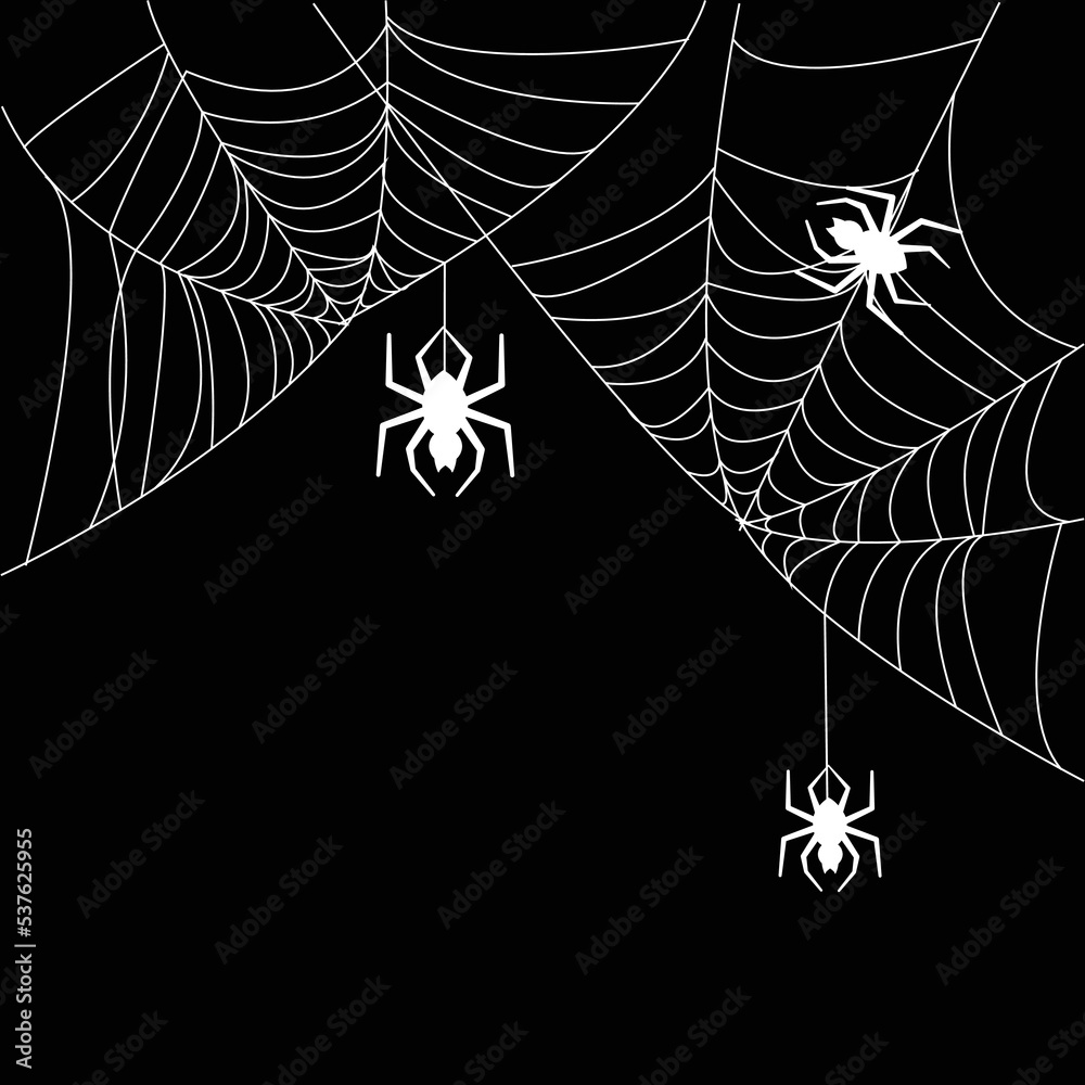 Close-up of cobweb on black background, halloween cobweb, creepy trap ...