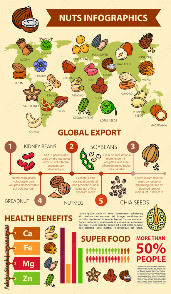 Nuts and seeds infographics, beans and natural food healthy benefits ...