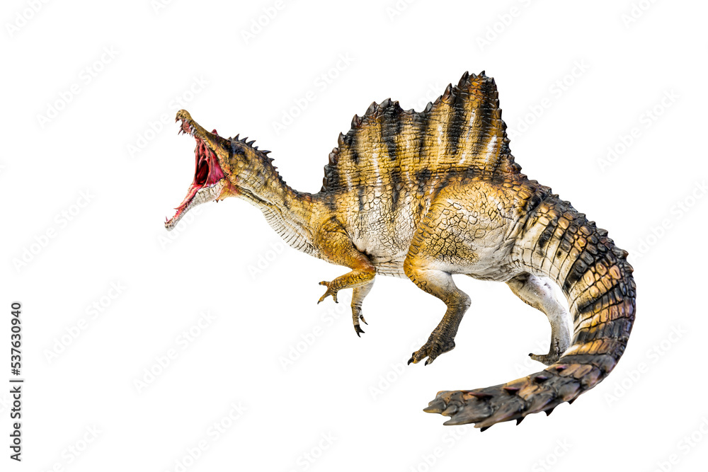 dinosaur , spinosaurus isolated background Stock Photo | Adobe Stock