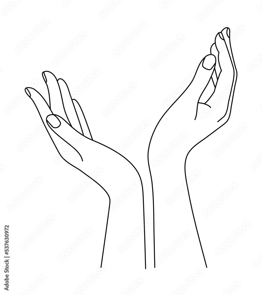 Hands aestetic line drawing. Arm in simple linear style. Doodle vector ...