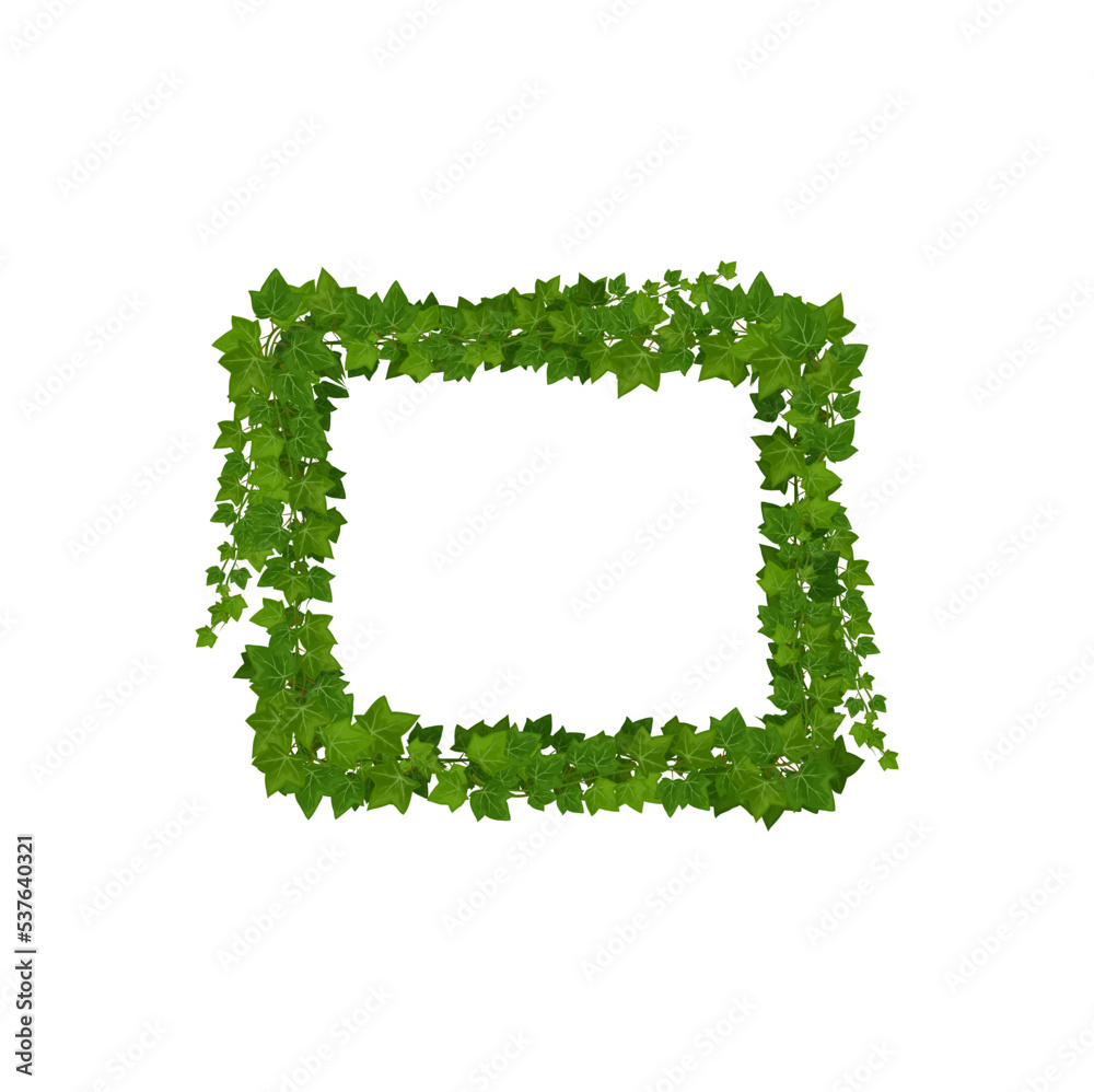 Ivy green leaves and jungle lianas square frame. Vine or ivy shrub leaf ...