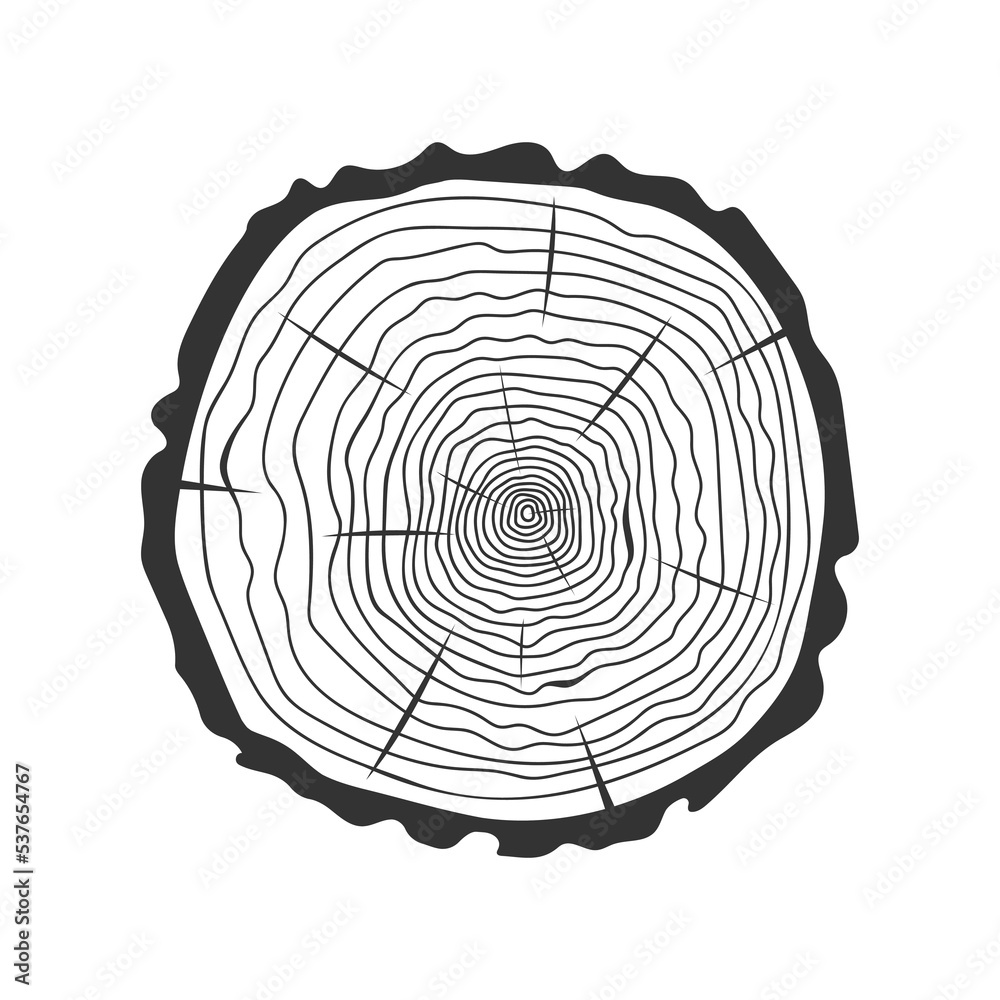 Tree rings stamp. Trunk cross section wooden doodle texture isolated on ...