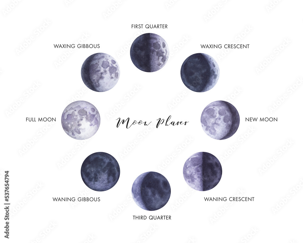 Watercolor moon phases with titles isolated on white background. Stock ...