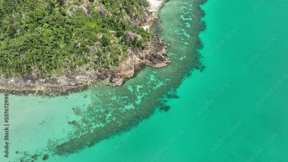 Vidéo Stock Deforestation and clearing of forested land on plantation ...