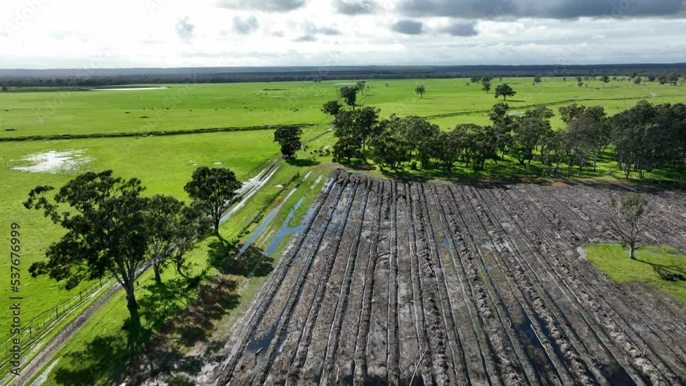 Vidéo Stock Deforestation and clearing of forested land on plantation ...