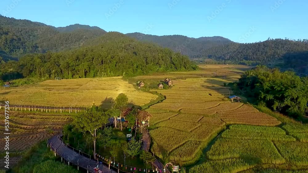 "aerial photograph vdo drone" beautiful mountain scenery and bamboo ...