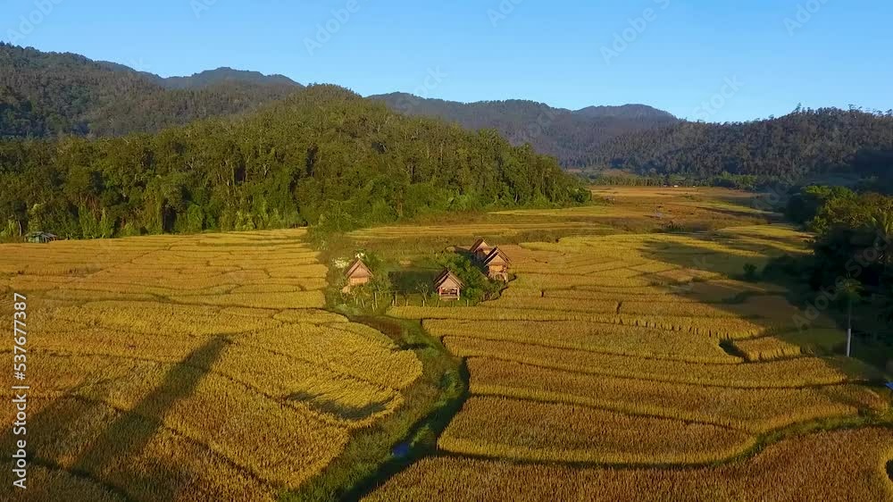 "aerial photograph vdo drone" beautiful mountain scenery and bamboo ...