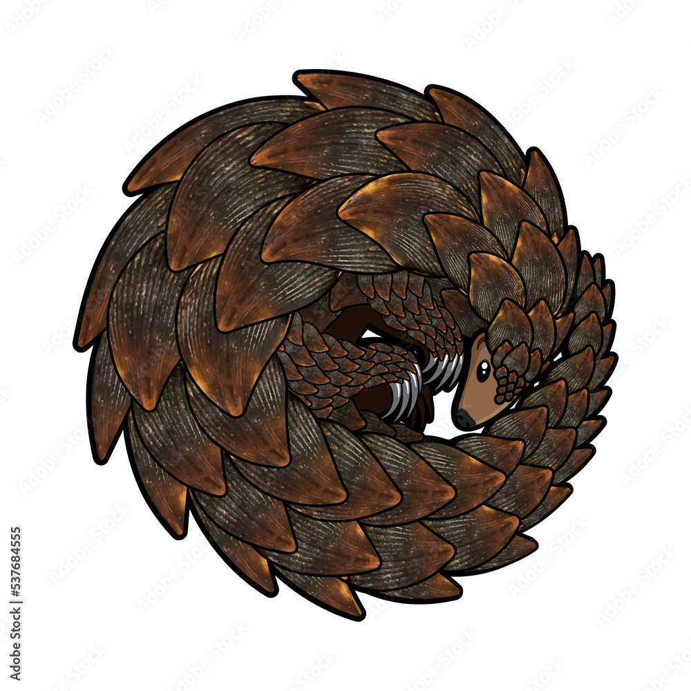 Pangolin Png Format With Transparent Background Stock Illustration ...