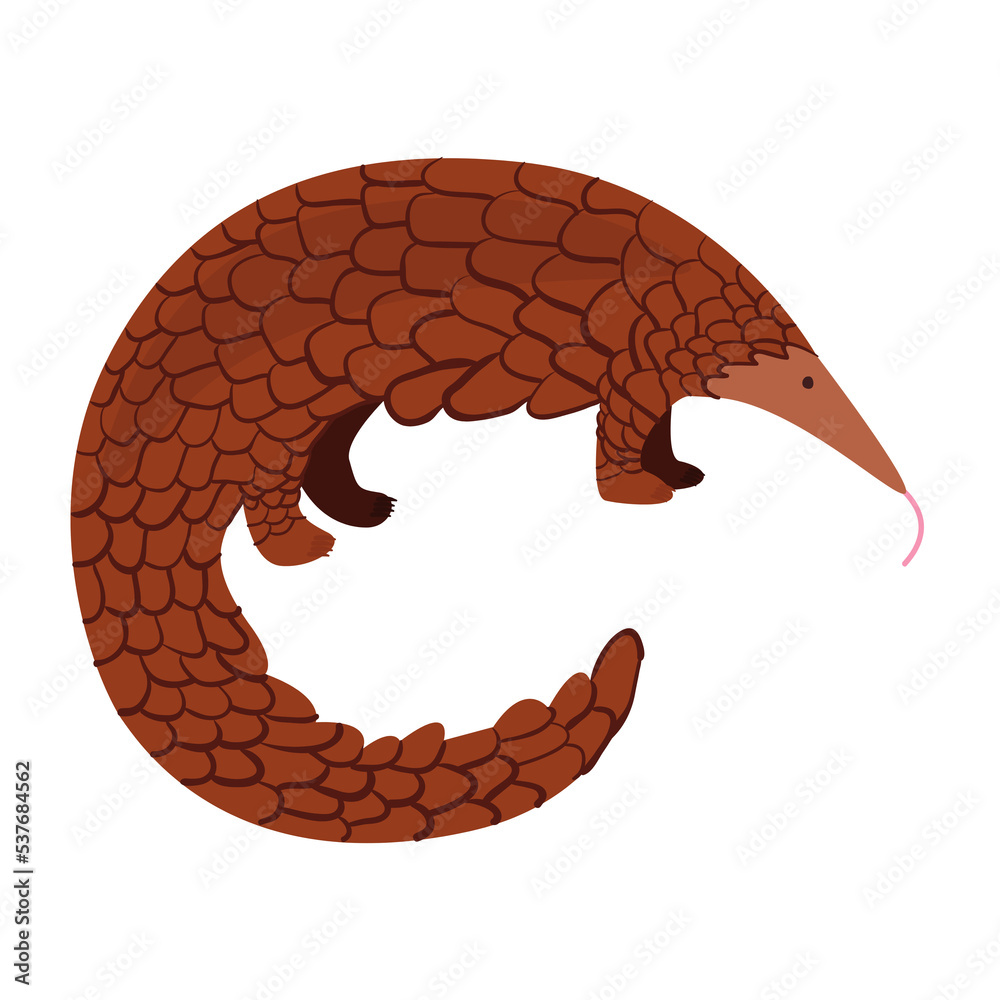 Pangolin Png Format With Transparent Background Stock Illustration ...