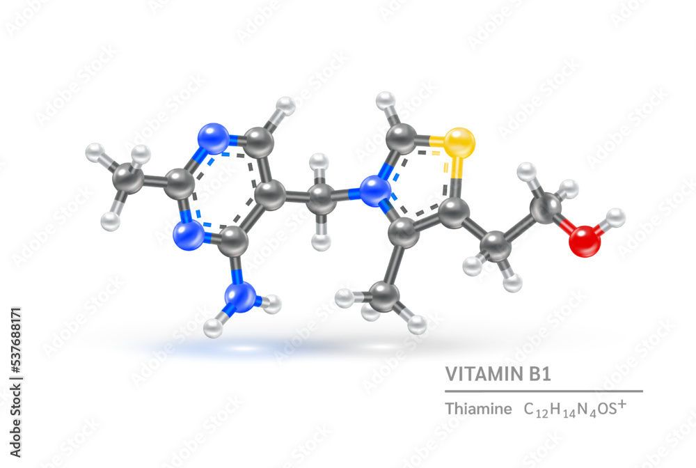 Vitamin B1 (Thiamine) molecule models and structural physical chemical ...