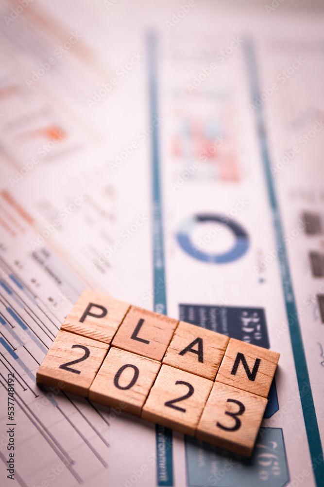 PLAN 2023 text on wooden blocks with the paper report of spreadsheet ...