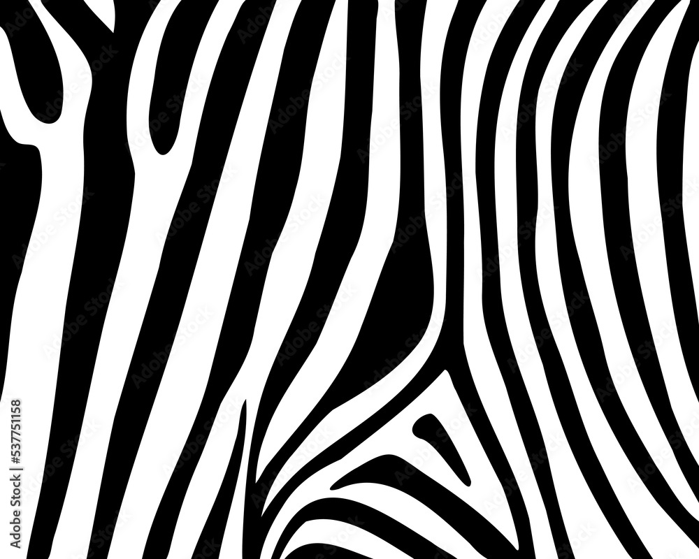 Zebra print, animal skin, tiger stripes, abstract pattern, line ...