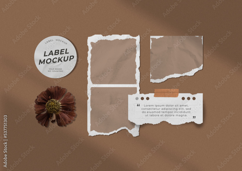 Realistic and Simple Photo Frame Set Moodboard Mockup. Mood Board ...