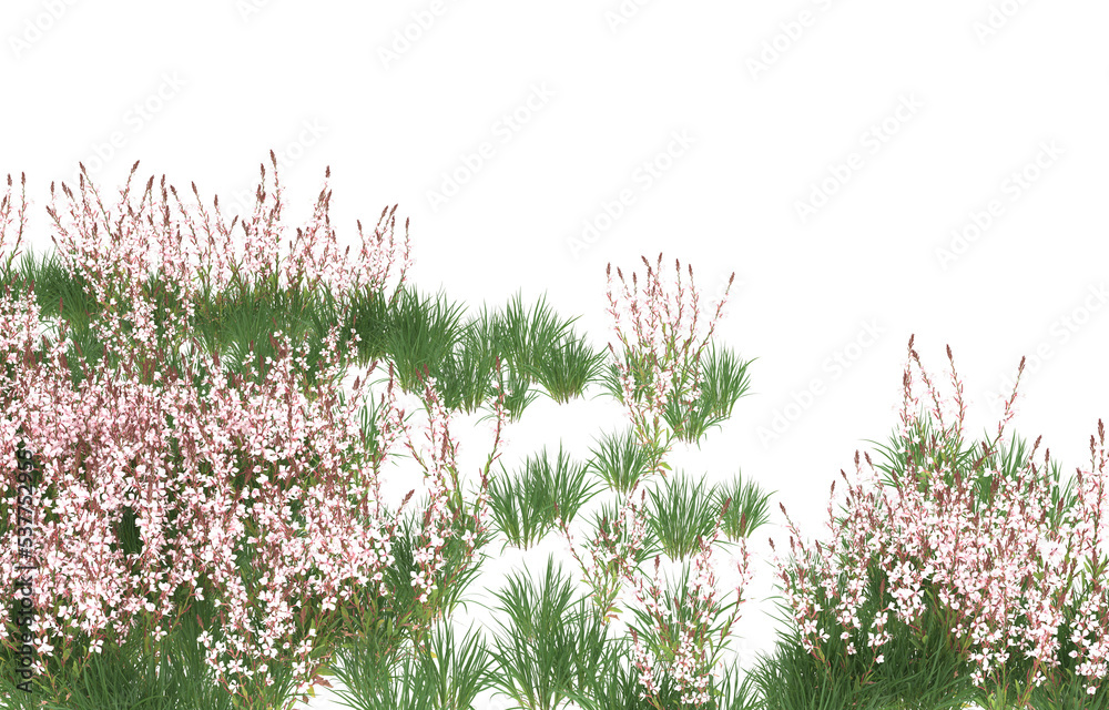Field of flowers on transparent background. 3d rendering - illustration ...