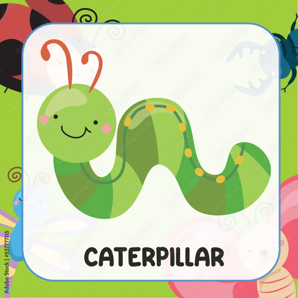 Cute insect flashcards for Children. Bugs flashcards cute character ...