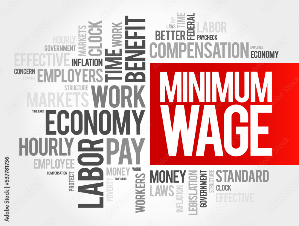 Minimum Wage is the lowest remuneration that employers can legally pay ...
