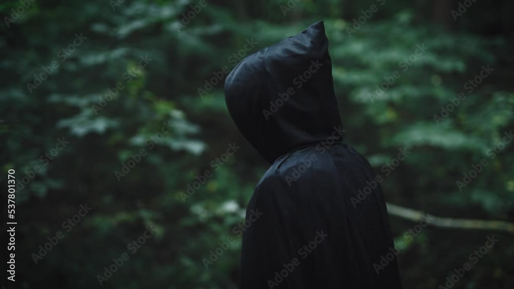 A dark figure in a black cloak with a hood walks through the enchanted ...