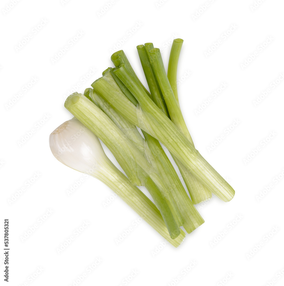 Green spring onion isolated on transparent background (.PNG). Top view ...