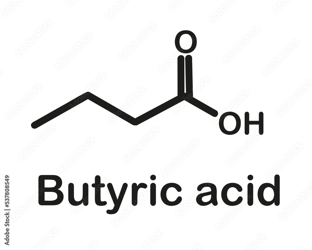 Chemical structure of butyric acid. Vector illustration Stock Vector | Adobe Stock