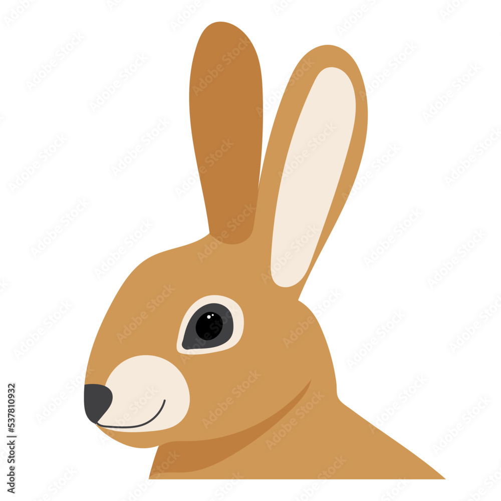 rabbit, hare portrait on white background, isolated vector Stock Vector ...