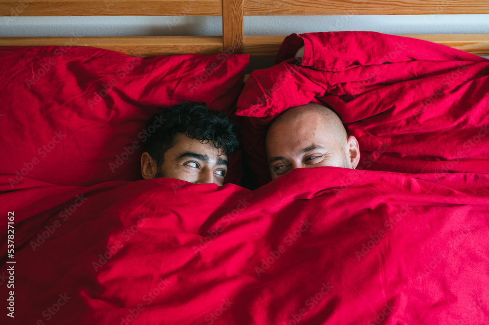 Young gay couple hiding in bed under red blanket, smiling eyes peeking ...