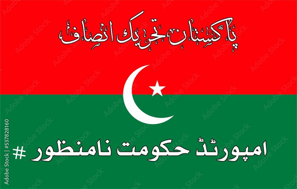 Translation: Imported Government not accepted. Political slogan written ...