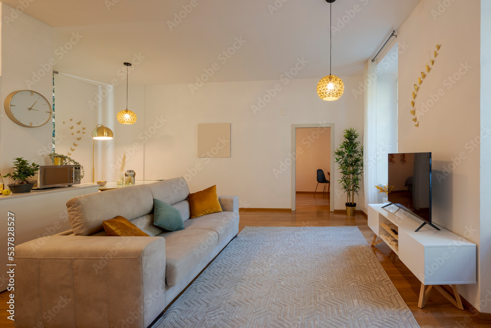 Front view modern living room furnished with sofa on the left and ...