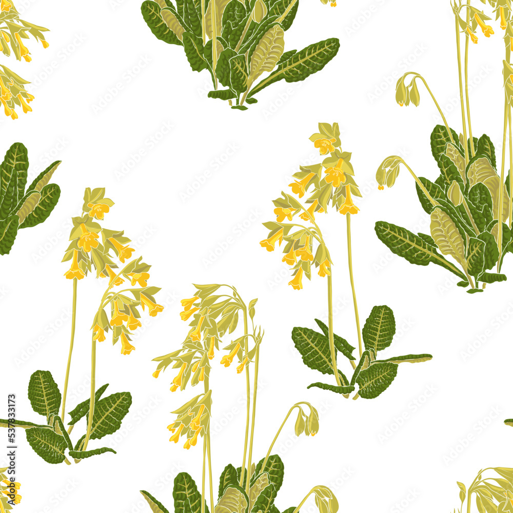 seamless pattern with spring yellow primrose , field flowers, vector ...