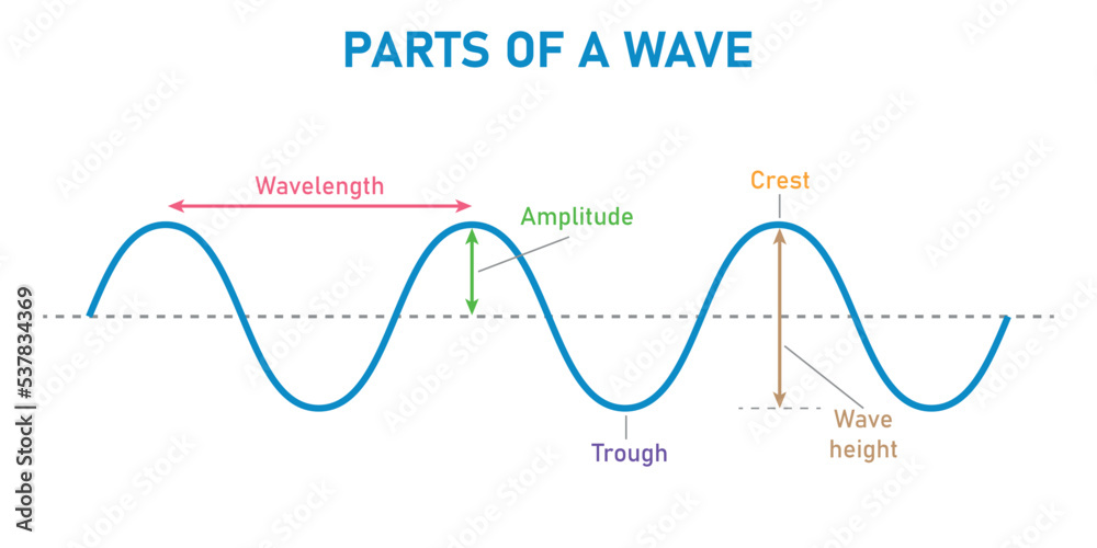 The basic properties of waves. parts of a wave. Scientific vector ...