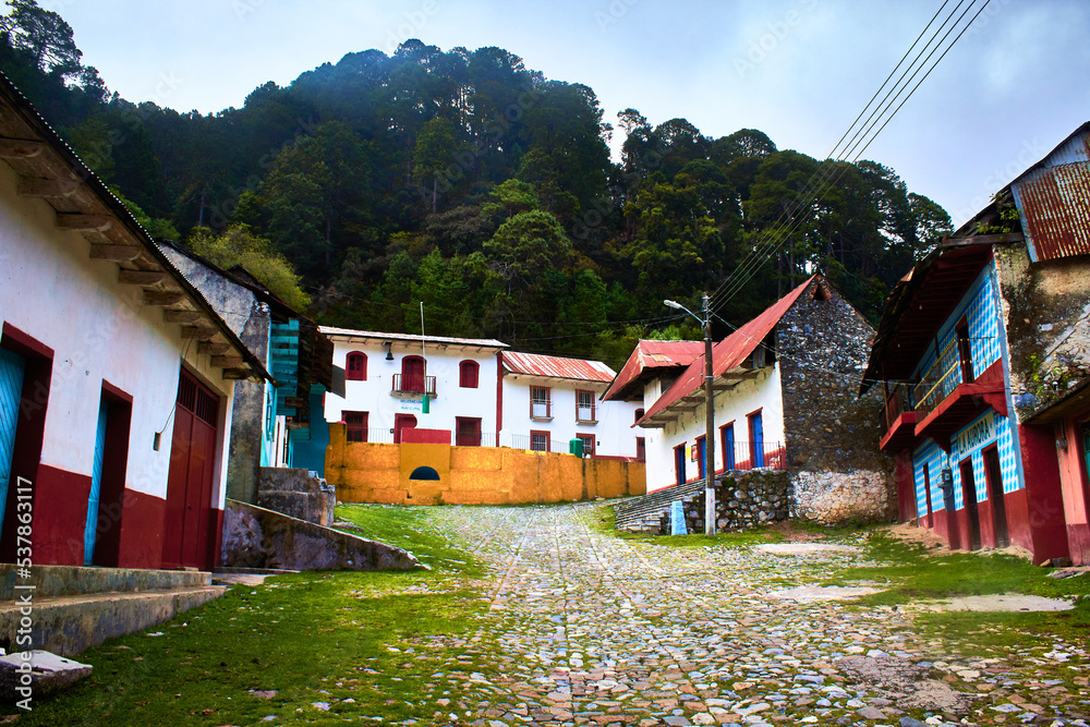 traditional village in middle of the forest in cloudy day, beautiful ...