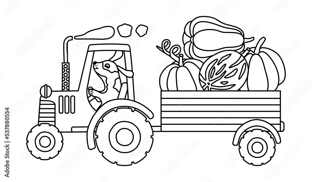 Tractor with pumpkins and dog in graphic style.A farm truck transports ...